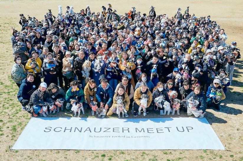 2024 Spring-Summer Meetup Roundup – free stitch