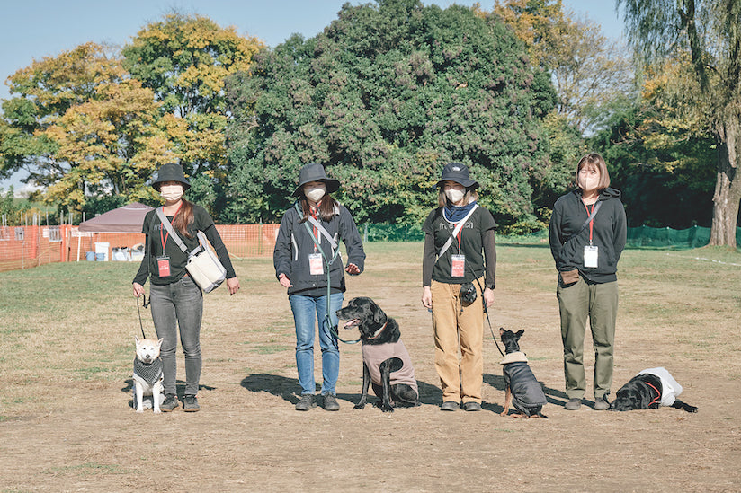 Dog-Friendly Office Staff Dogs Attended a free stitch Meetup Event