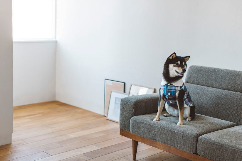 The Official free stitch YouTube Channel is Now Live!