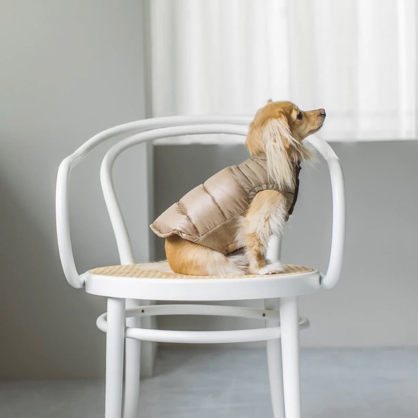 The Duck Down Jacket – free stitch